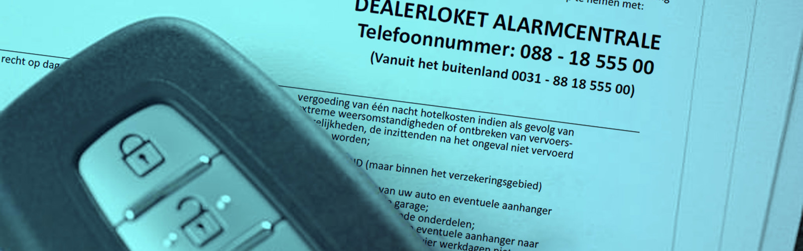 Groene kaart special: alles over de groene kaart